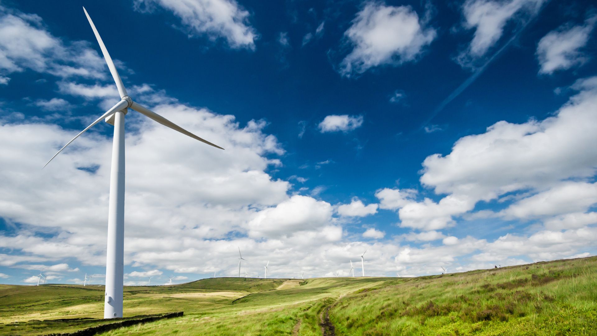 La puissance du vent. Des moulins à vent aux éoliennes modernes ...